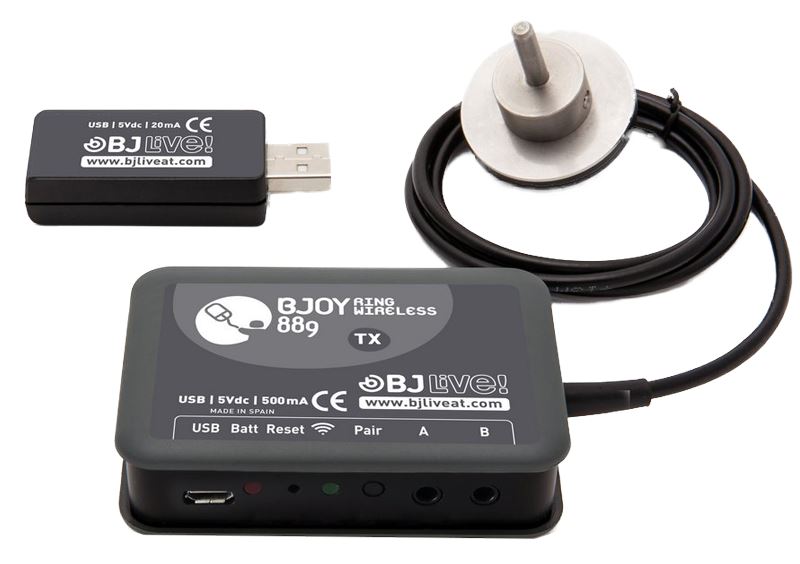 BJOY Ring – Bridges Canada