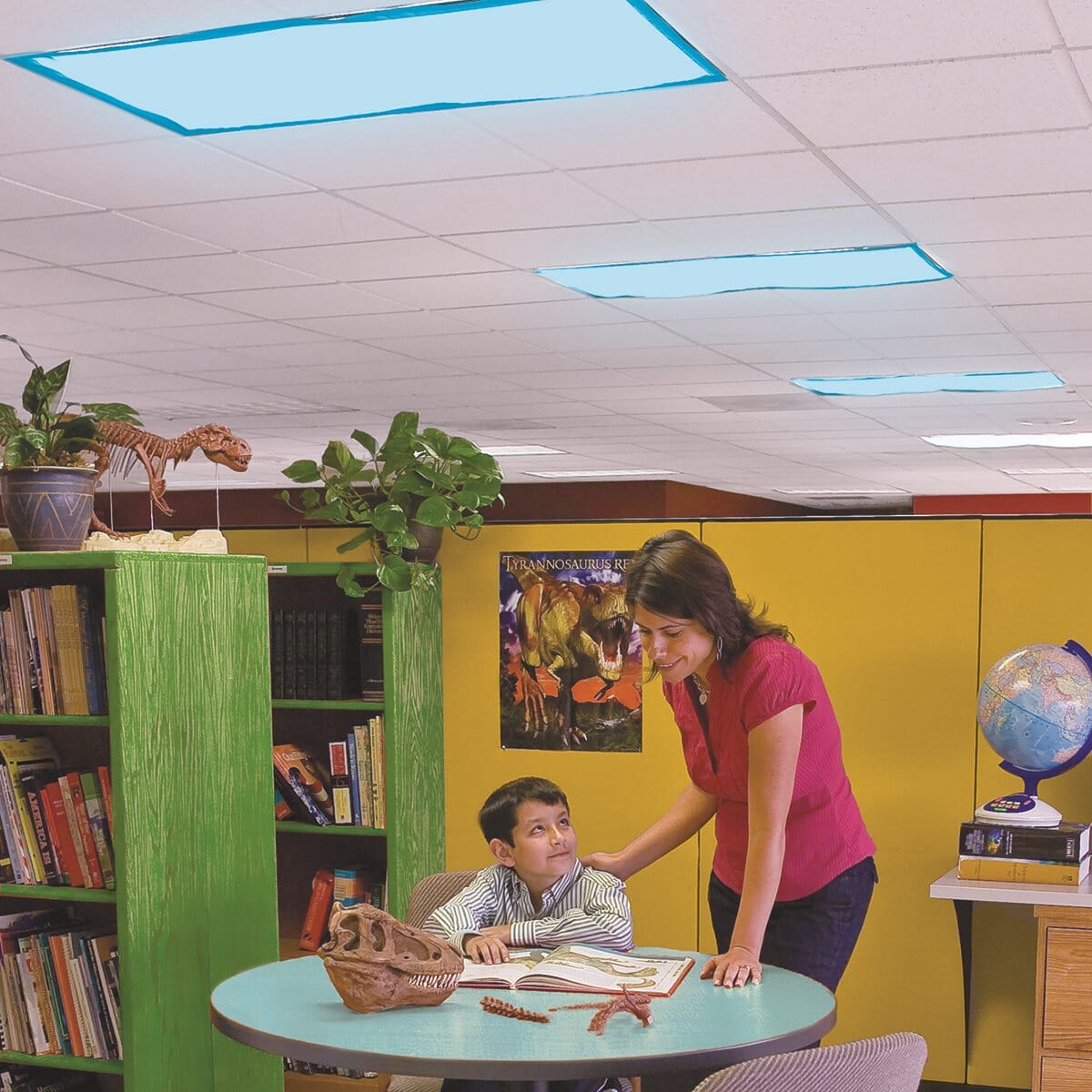 Classroom Light Filters – Bridges Canada